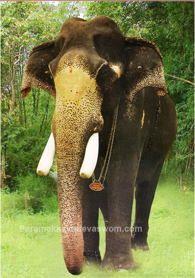 Paramekkavu Devaswom