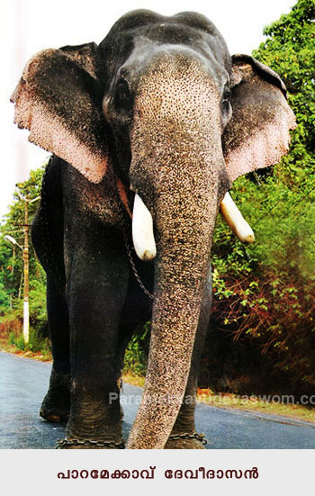 :: Paramekkavu Devaswom